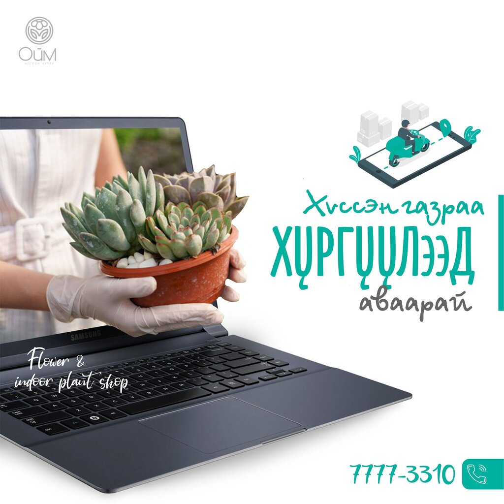 Нүүр хуудас Ойм ногоон урлан