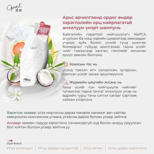 Хуурай гэмтэлтэй салаалсан үсний дан шампунь - Opal Brand Mongolia
