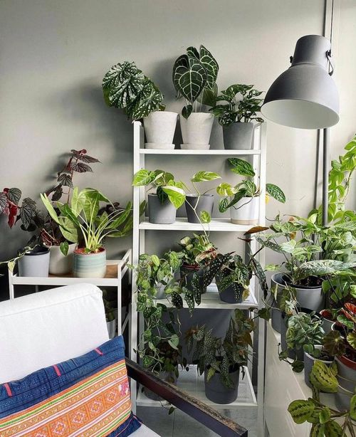 Ханын тавиур Ikea