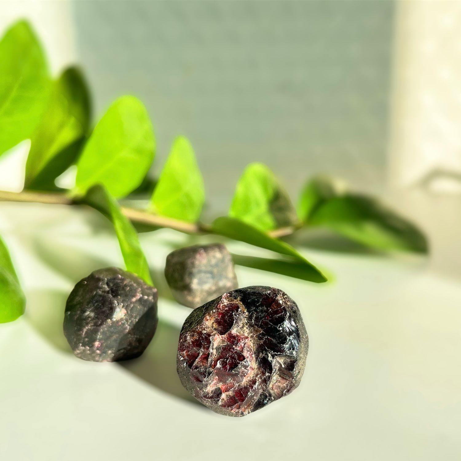 Анар Өнгөлсөн | Tumbled Garnet