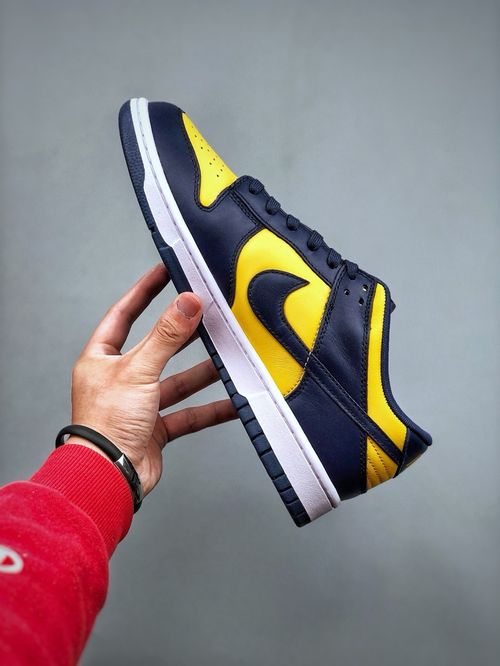 Dunk - Sneaker Lovers Mongolia