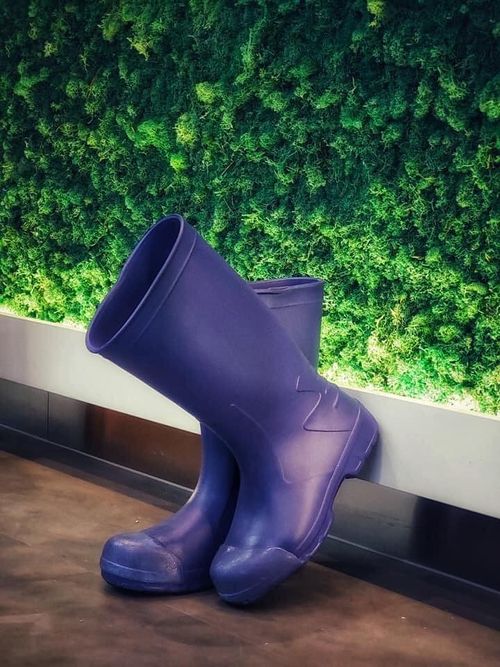 Тогоочийн гутал - STICO MONGOLIA